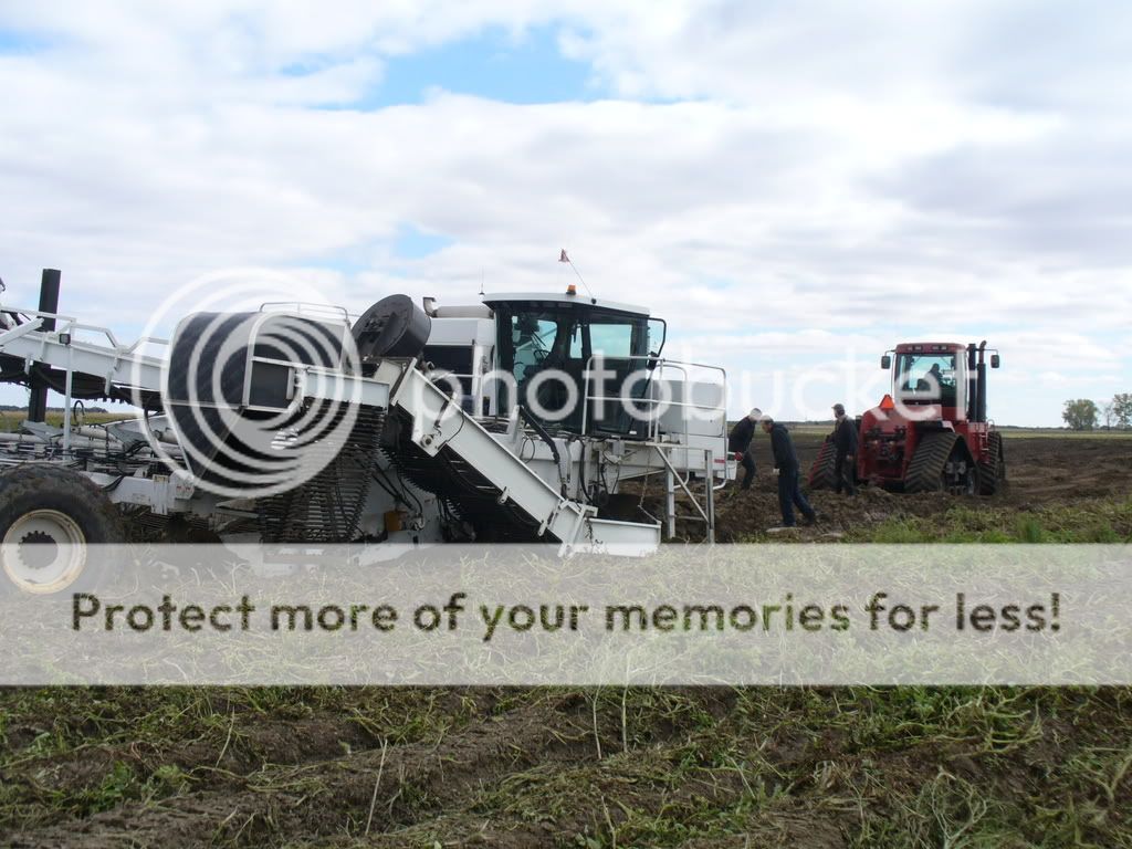 more self-propelled potato digger pics | The Combine Forum