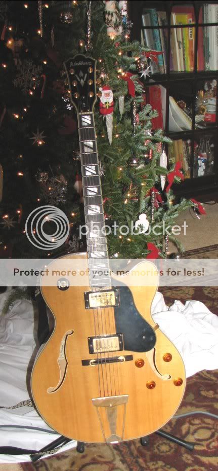 WTB-Samick Artist Edition Arch top HJ650 modeled after an ES175 ...