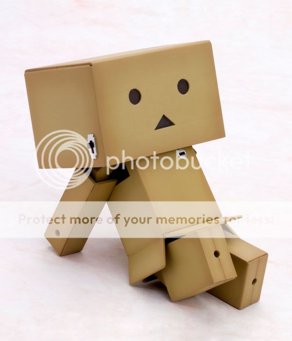 [WTS] Danbo/Danboard Plastic Model Kit