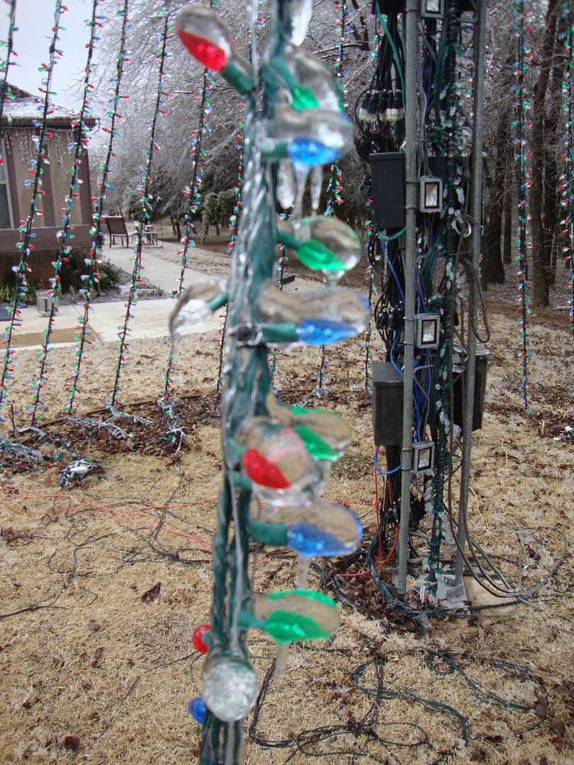 Mega Tree Setup - Sequence Sharing - Light-O-Rama Forums