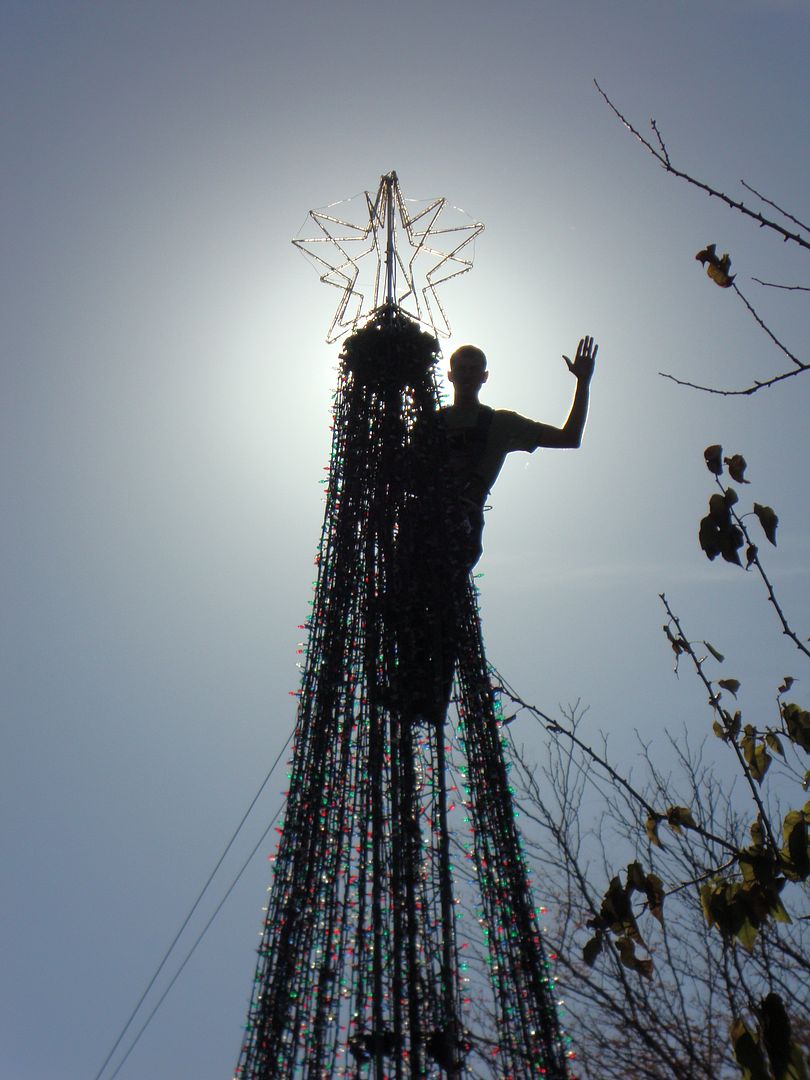 Setup and takedown of Mega Tree - General Decorating Questions - Light ...