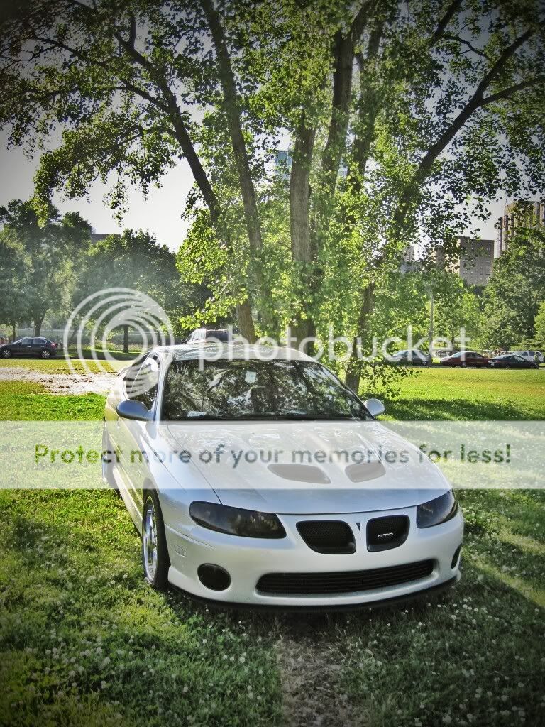 "Fake SAP" bumper - Vinly | LS1GTO Forums